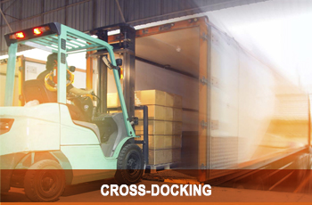 Cardelex – Cargo Delivery Express – Logistica