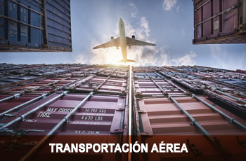 Cardelex – Cargo Delivery Express – Logistica